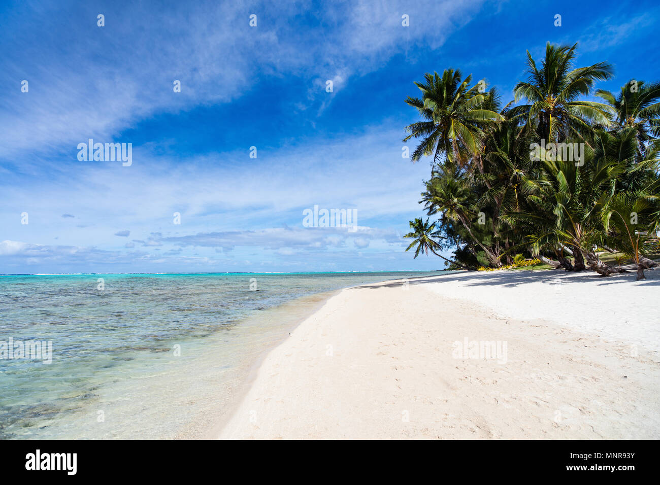 Beautiful tropical beach with palm trees, white sand, turquoise ocean ...