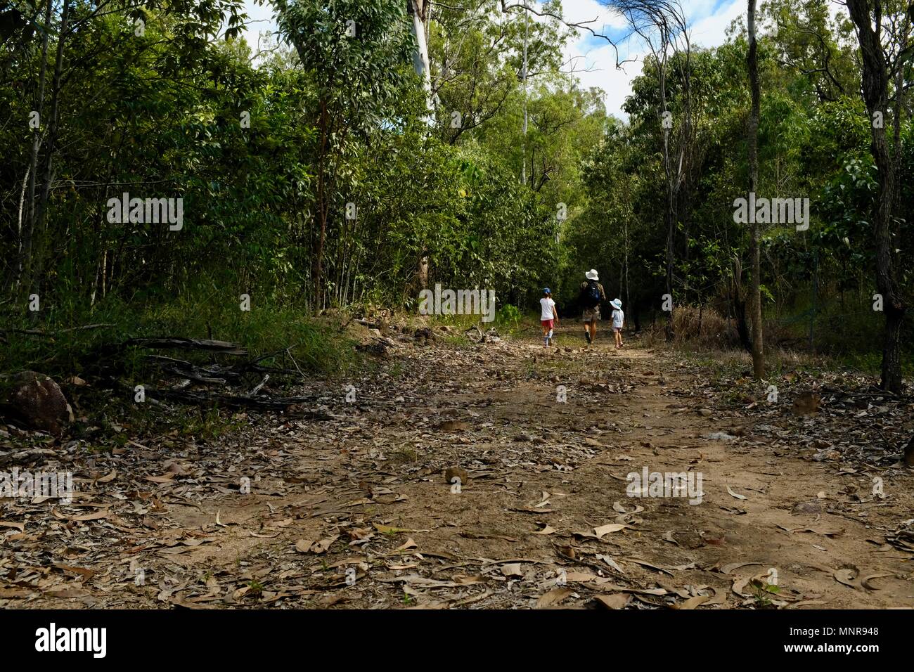 Father walks with children along a road through a forest hi-res stock ...