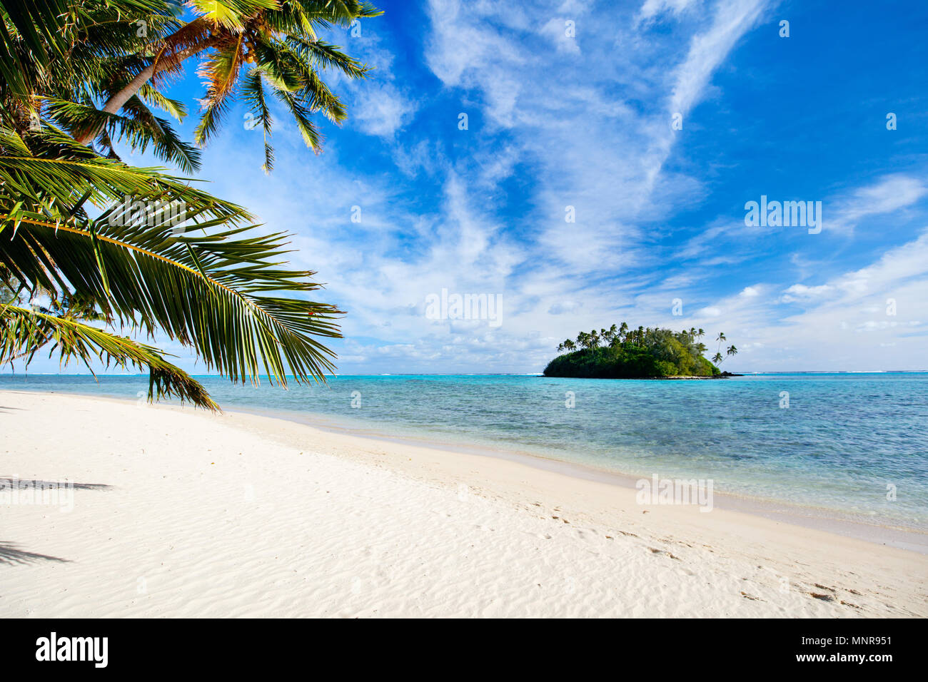 Beautiful tropical beach with palm trees, white sand, turquoise ocean ...