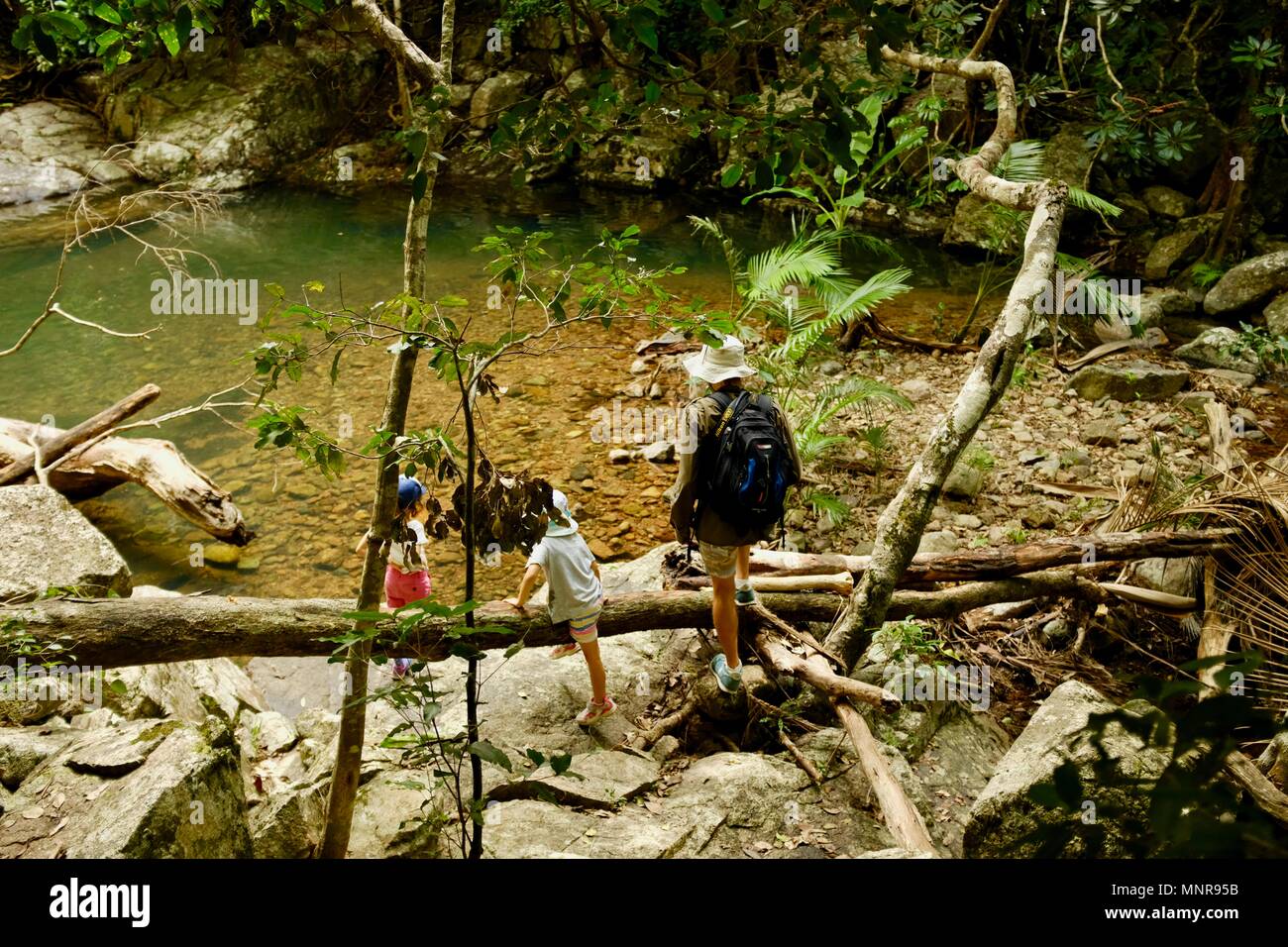 Father and daughters look at a waterfall in the Paluma range national ...
