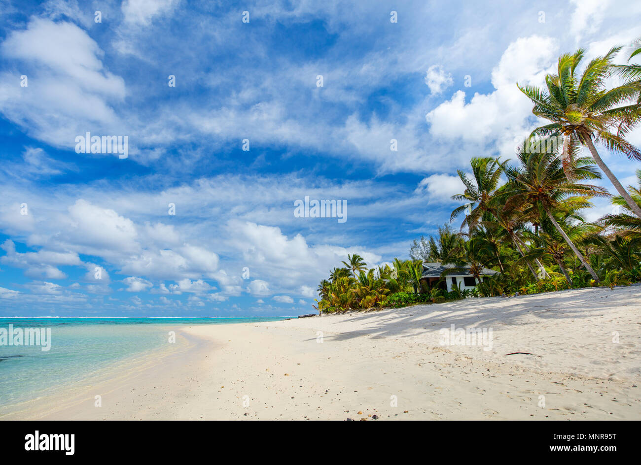 Beautiful tropical beach with palm trees, white sand, turquoise ocean ...