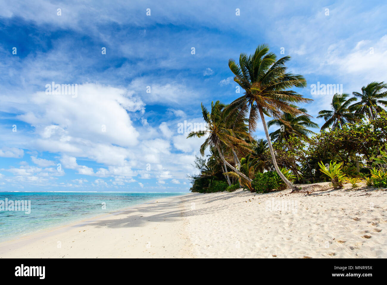 Beautiful tropical beach with palm trees, white sand, turquoise ocean ...