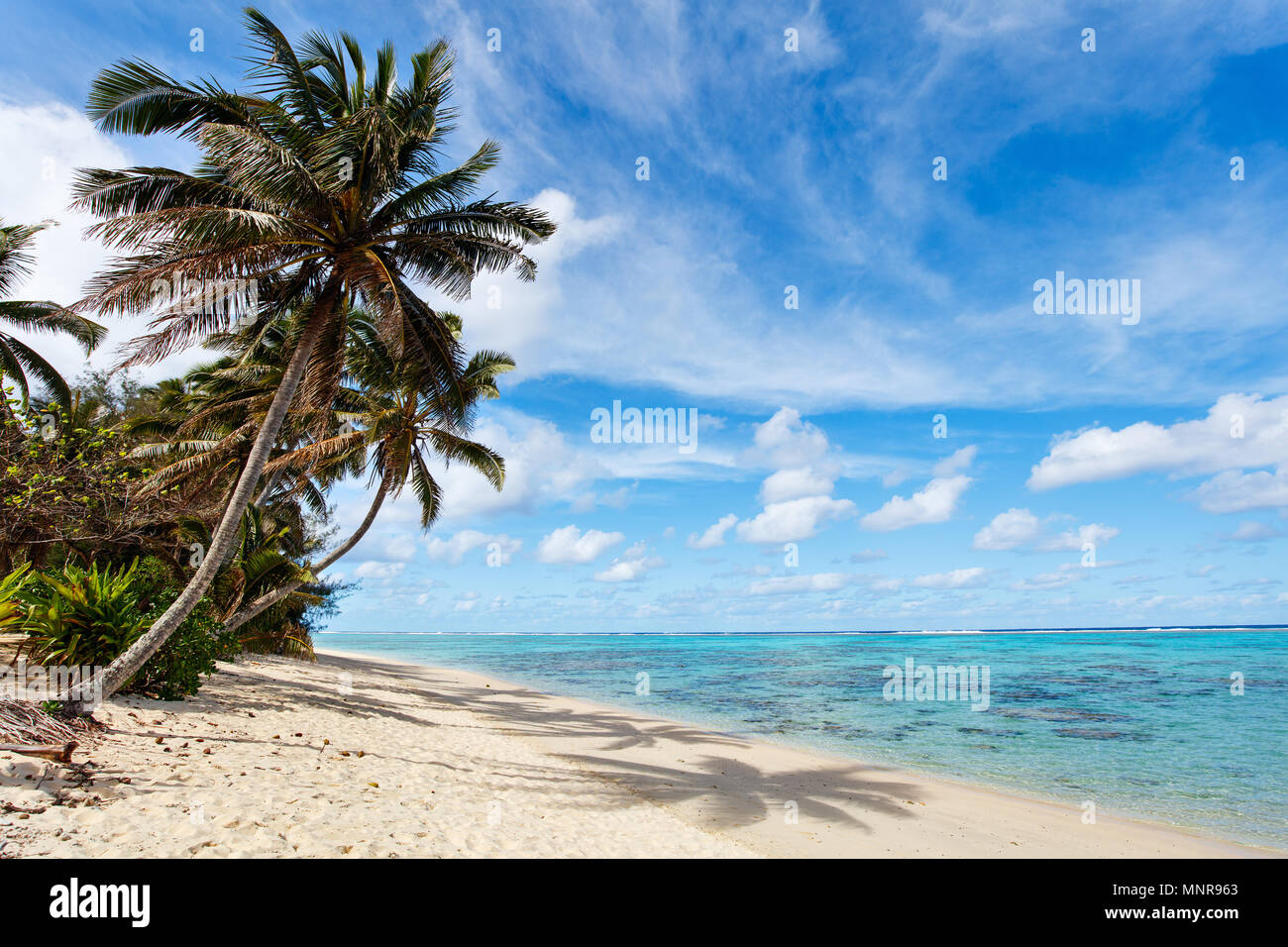 Beautiful tropical beach with palm trees, white sand, turquoise ocean ...