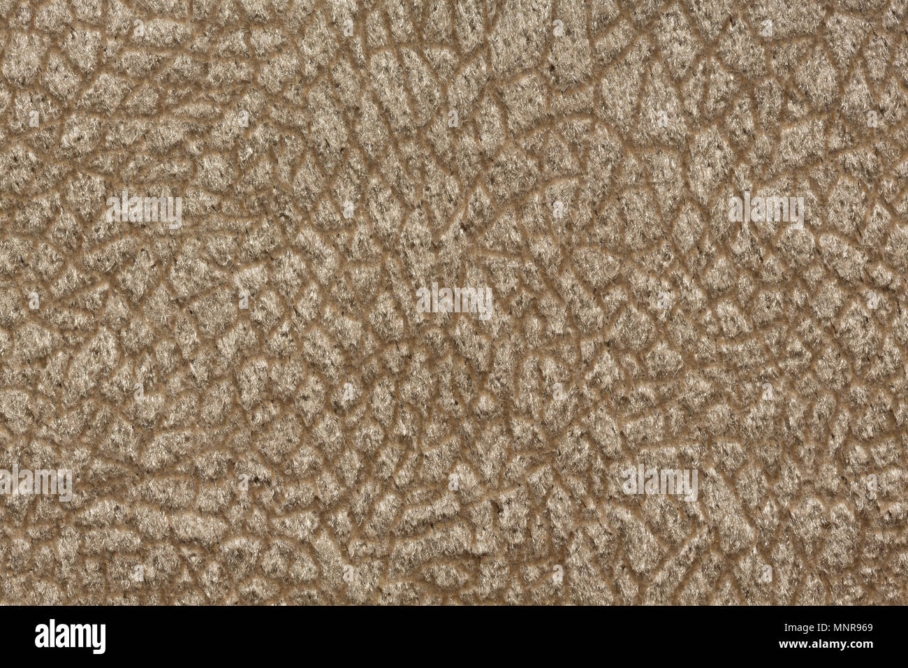 Beige colour hi-res stock photography and images - Alamy