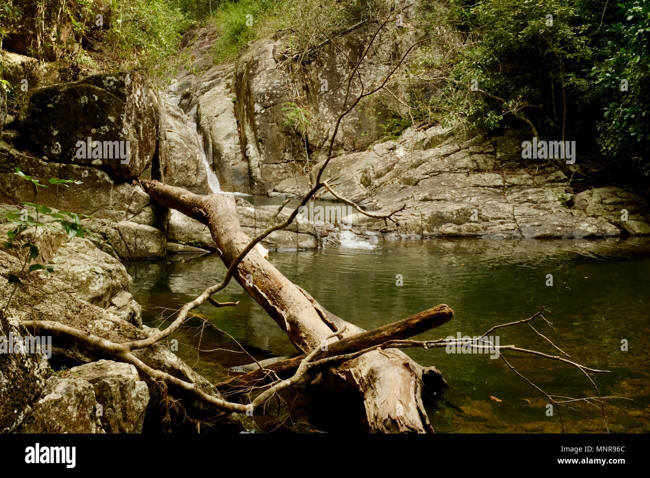 The waterfall below Gorge falls unnamed in Paluma range national park ...