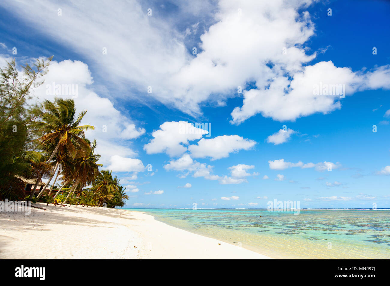 Beautiful tropical beach with palm trees, white sand, turquoise ocean ...