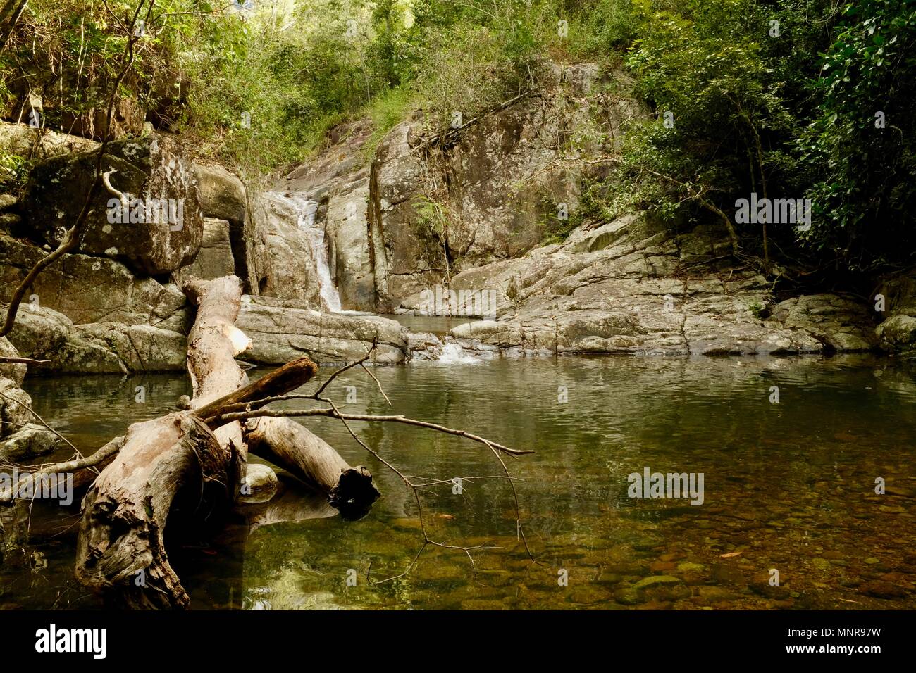 The waterfall below Gorge falls unnamed in Paluma range national park ...