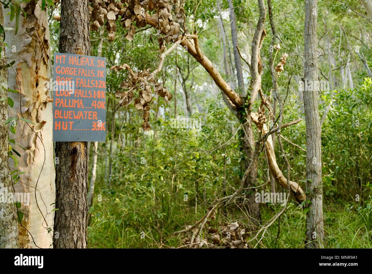 An informal information and distance sign for the Mount Halifax trail ...