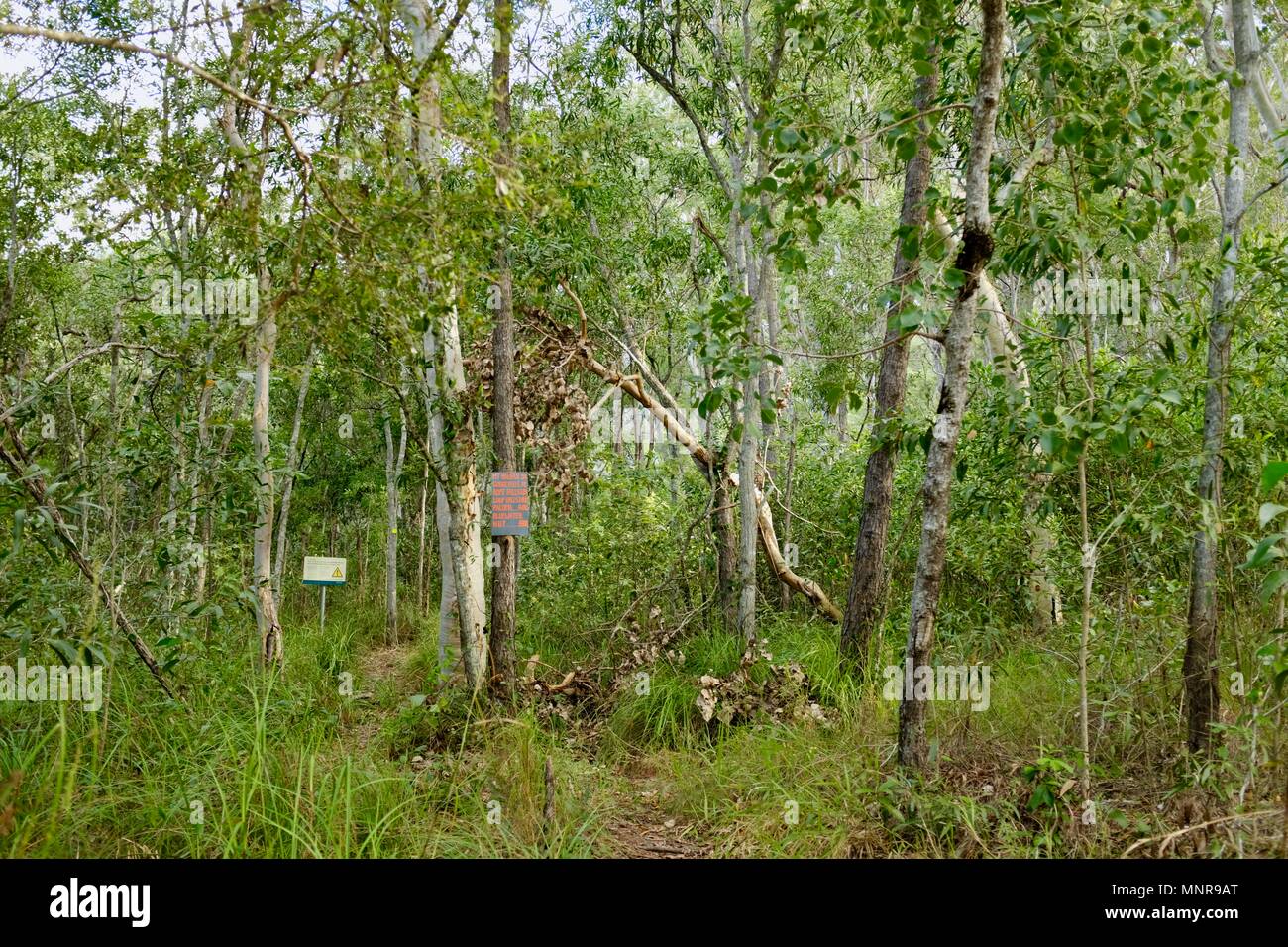 An informal information and distance sign for the Mount Halifax trail ...