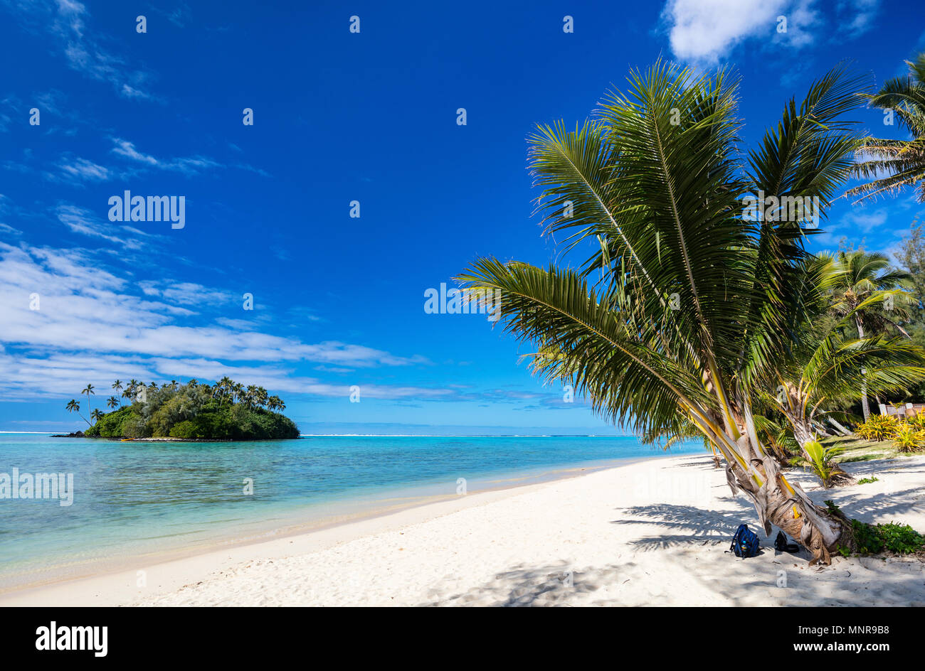 Beautiful tropical beach with palm trees, white sand, turquoise ocean ...