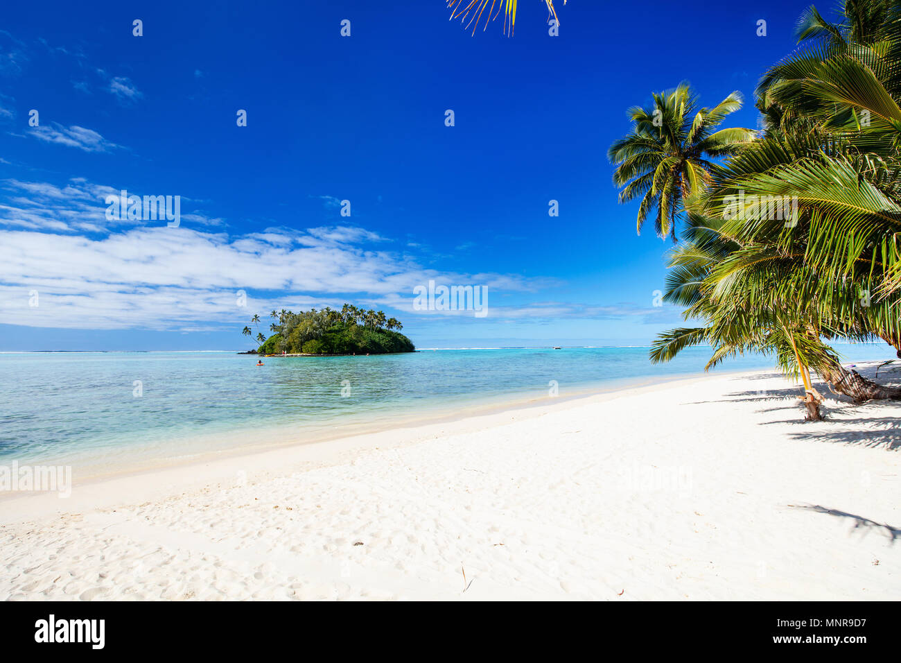 Beautiful tropical beach with palm trees, white sand, turquoise ocean ...