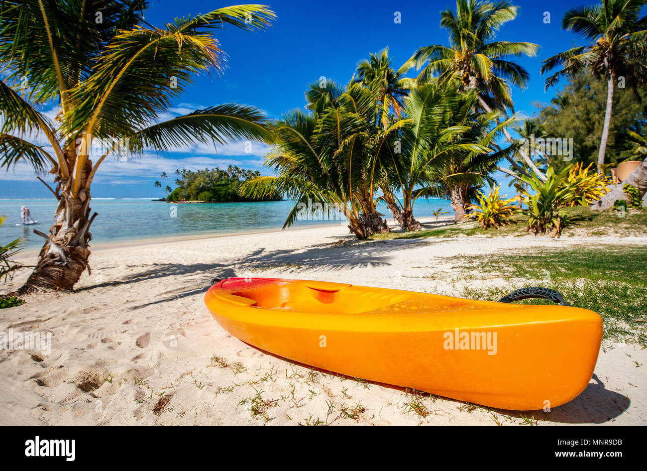 Colorful kayak at beautiful tropical beach with palm trees, white sand ...