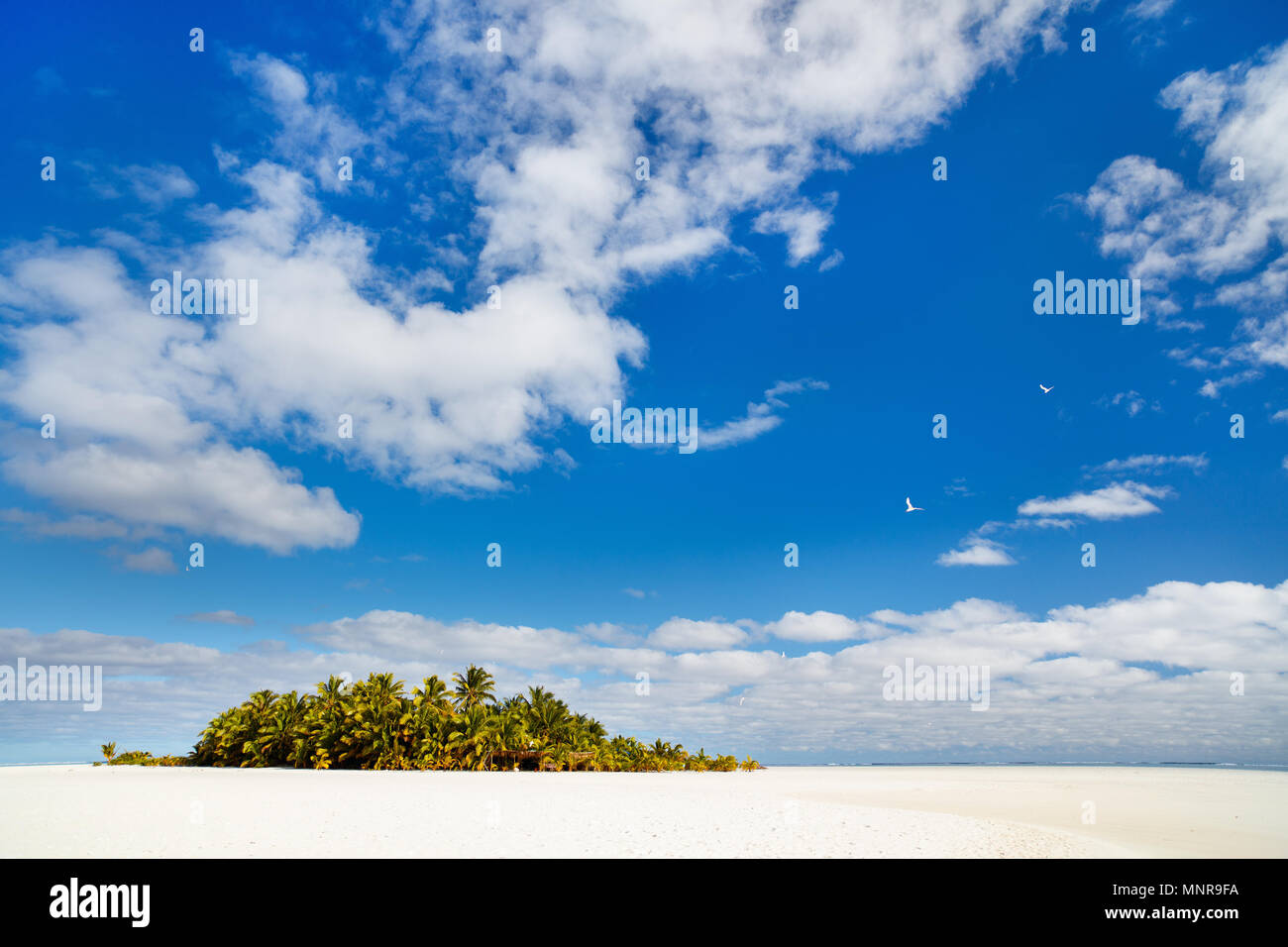 Idyllic tropical island and turquoise ocean water in Soth Pacific Stock ...