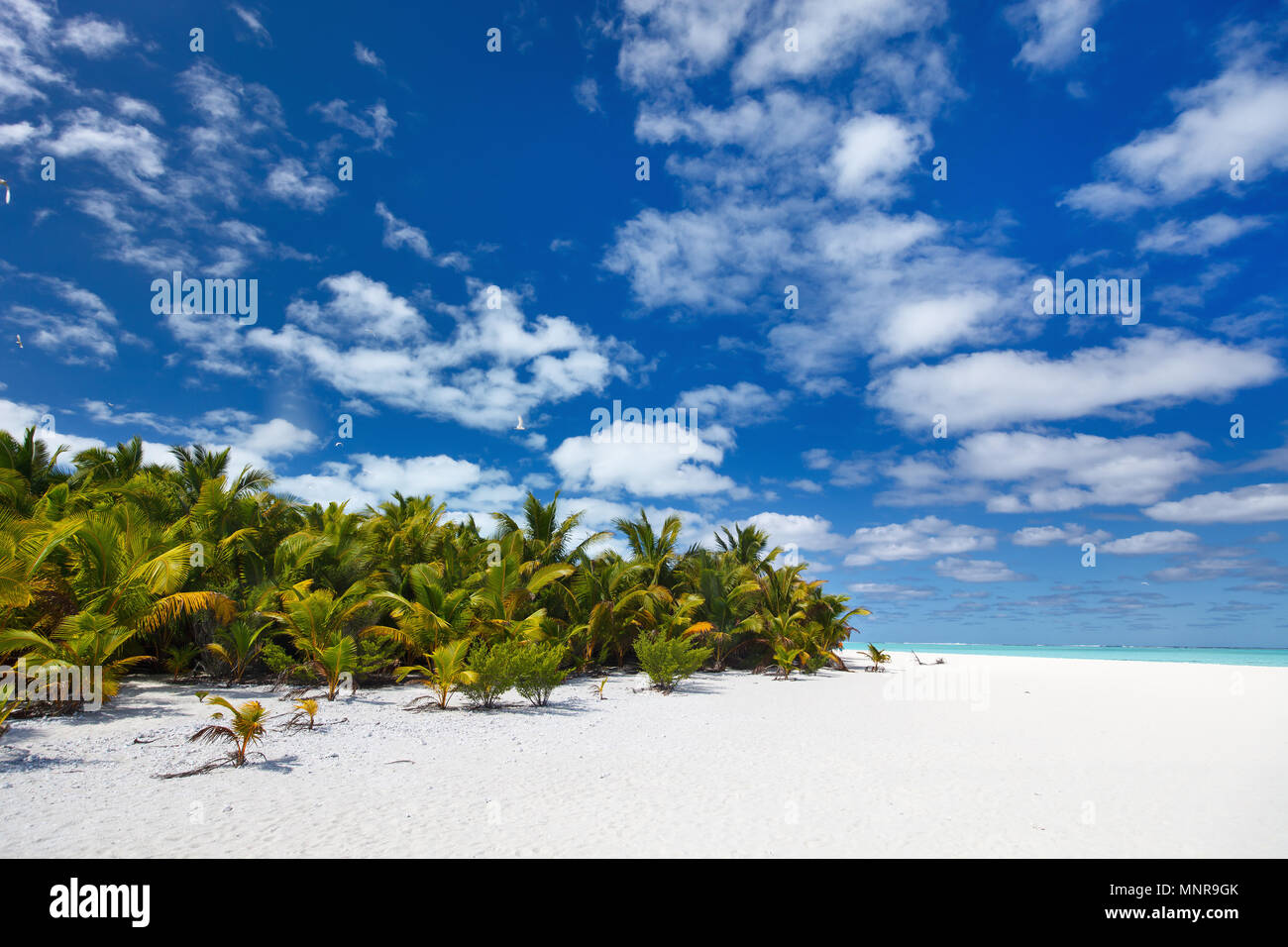Cook islands hi-res stock photography and images - Alamy