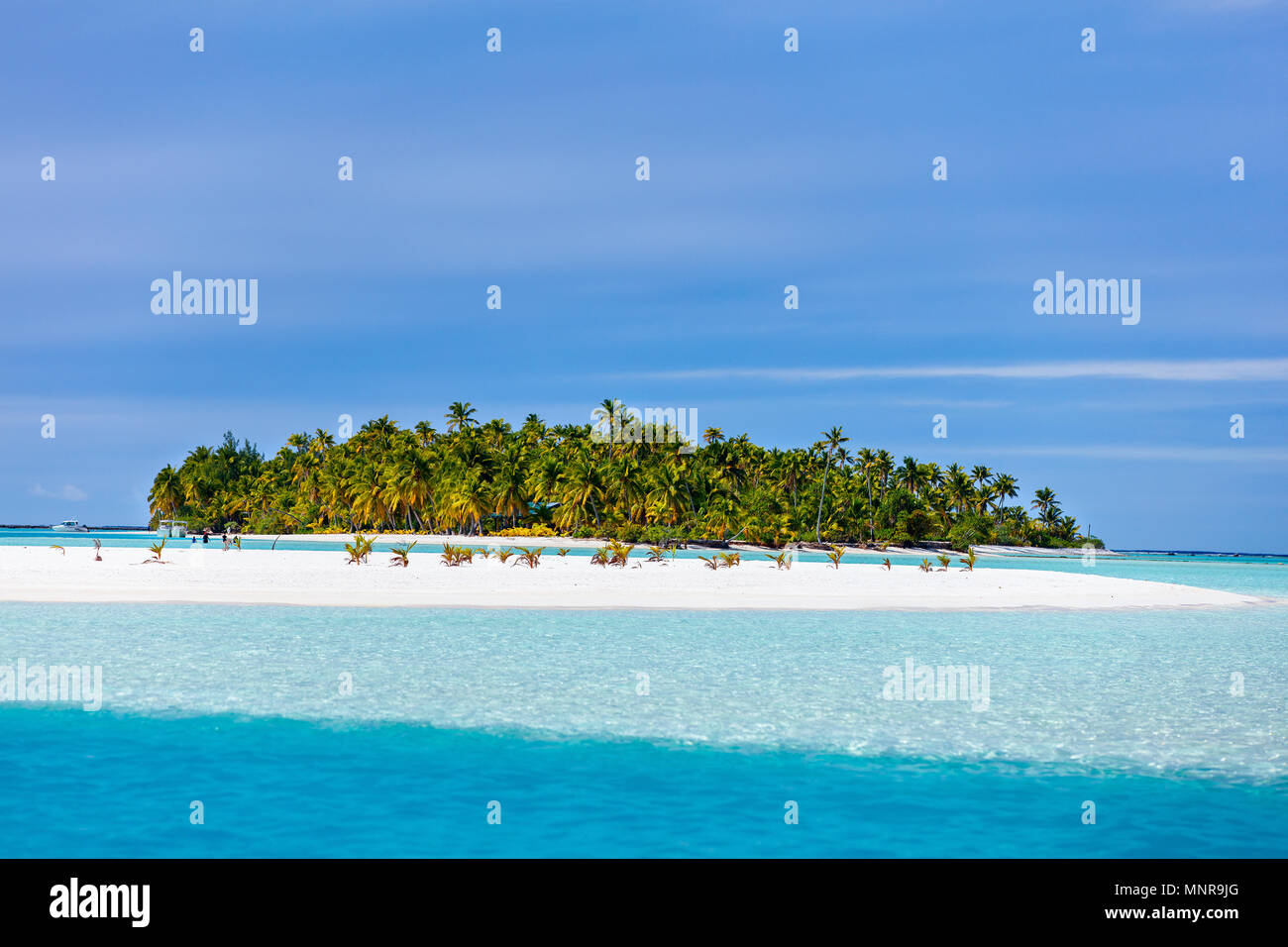 Stunning tropical Aitutaki One Foot island with palm trees, white sand ...