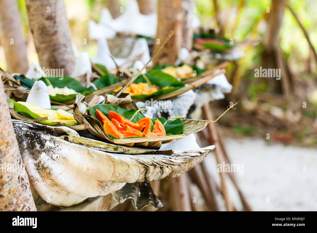 Close up of some local south pacific origin food served in giant shells ...