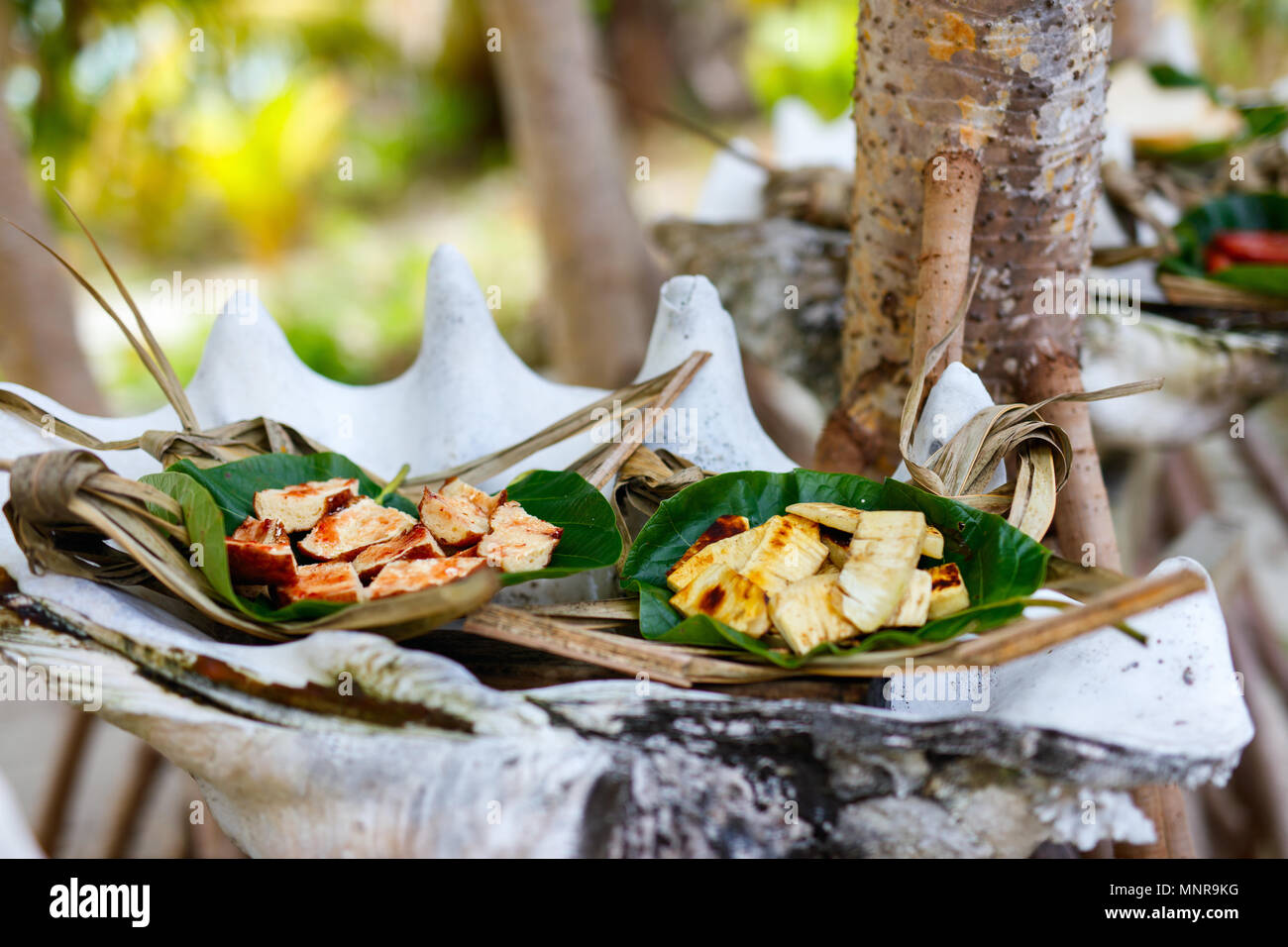 Close up of some local south pacific origin food served in giant shells ...