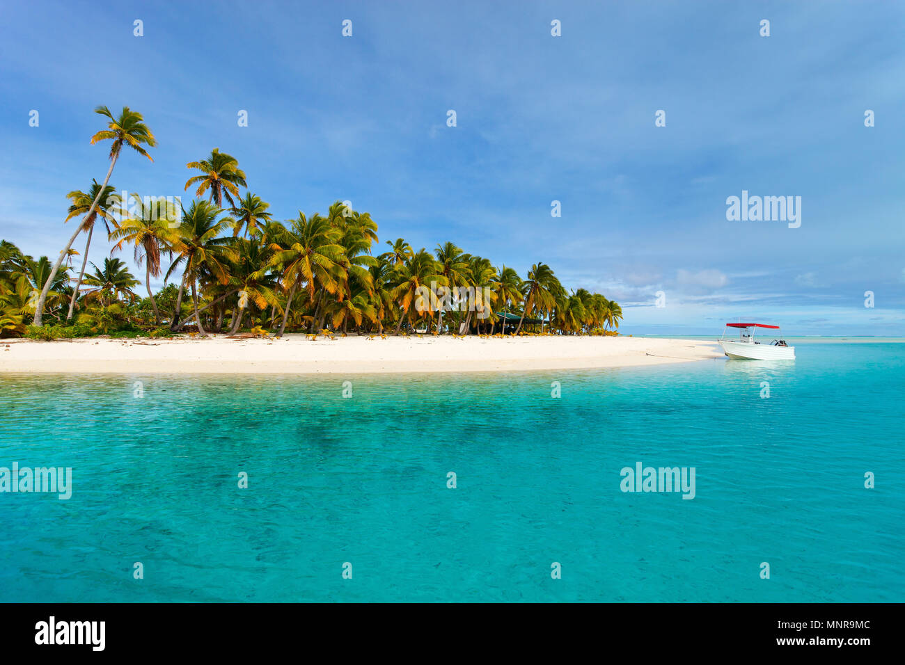 Stunning tropical island with palm trees, white sand, turquoise ocean ...
