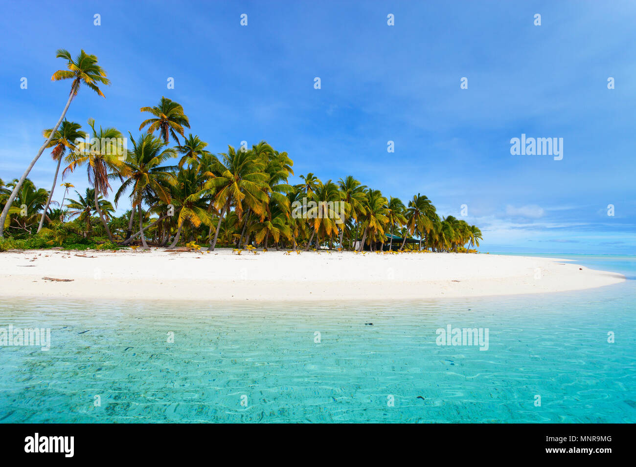 Stunning tropical Aitutaki One Foot island with palm trees, white sand ...