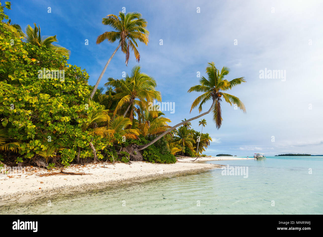 Stunning tropical Aitutaki One Foot island with palm trees, white sand ...