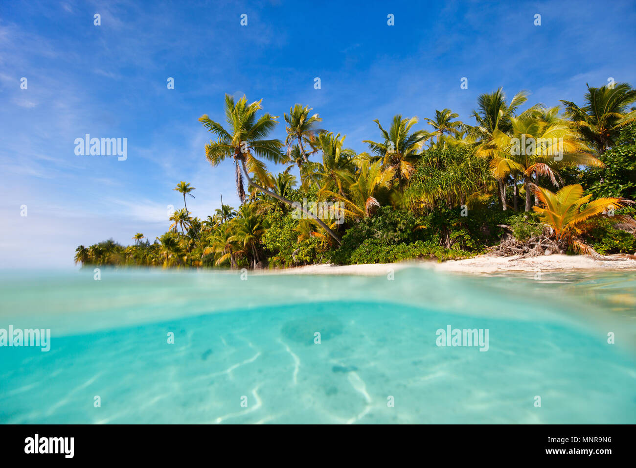 Cook islands underwater hi-res stock photography and images - Alamy