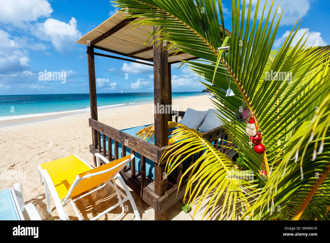 Idyllic tropical Caribbean beach with palm trees decorated for ...