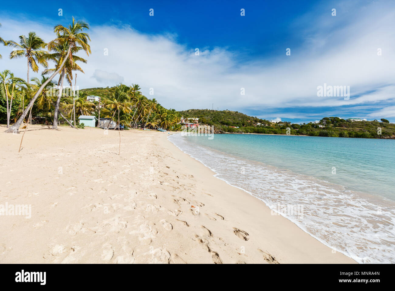 Idyllic tropical Carlisle bay beach with white sand, turquoise ocean ...