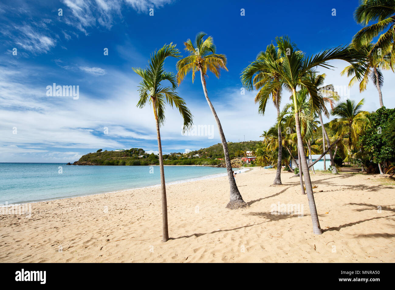 Idyllic tropical Carlisle bay beach with white sand, turquoise ocean ...