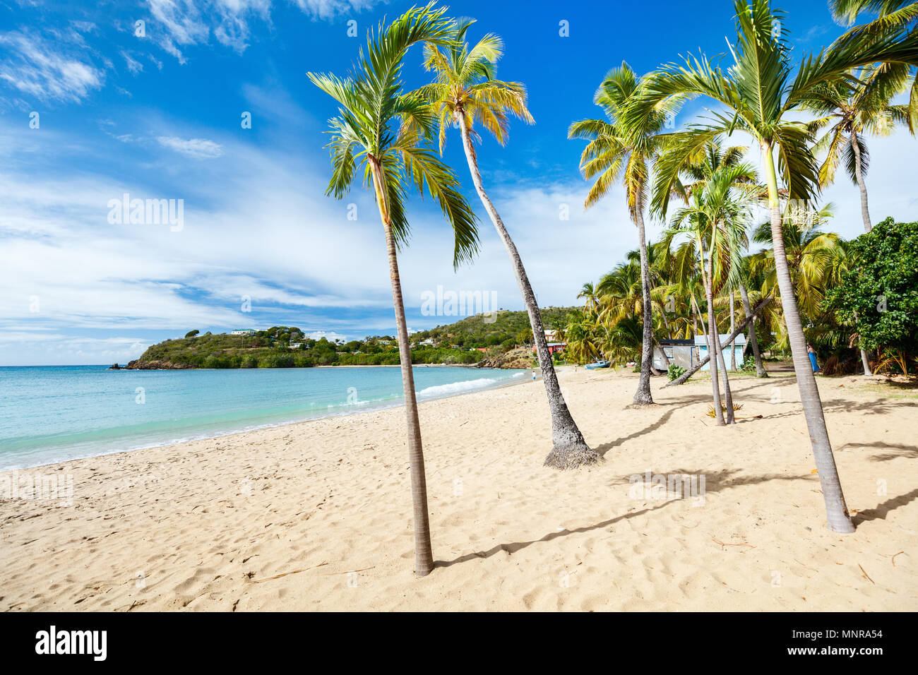 Idyllic tropical Carlisle bay beach with white sand, turquoise ocean ...