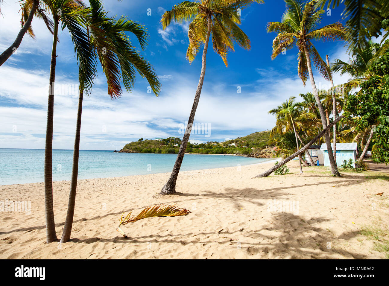 Idyllic tropical Carlisle bay beach with white sand, turquoise ocean ...