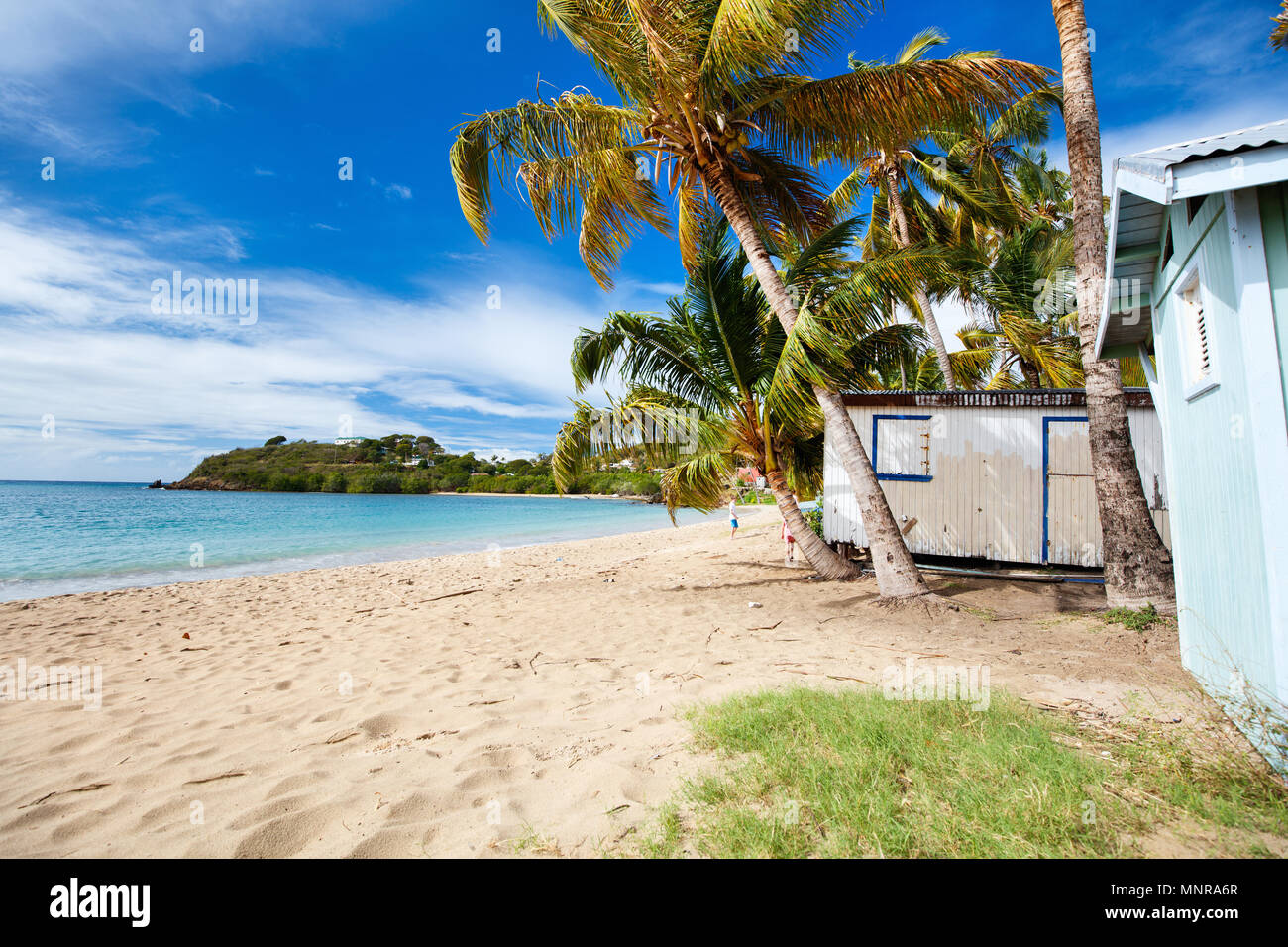 Idyllic tropical Carlisle bay beach with white sand, turquoise ocean ...