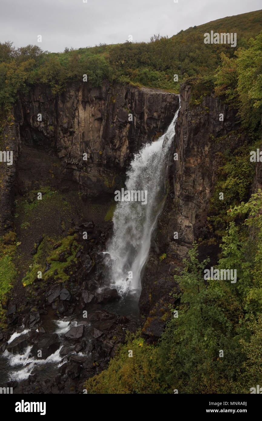 Iceland greenery hi-res stock photography and images - Alamy