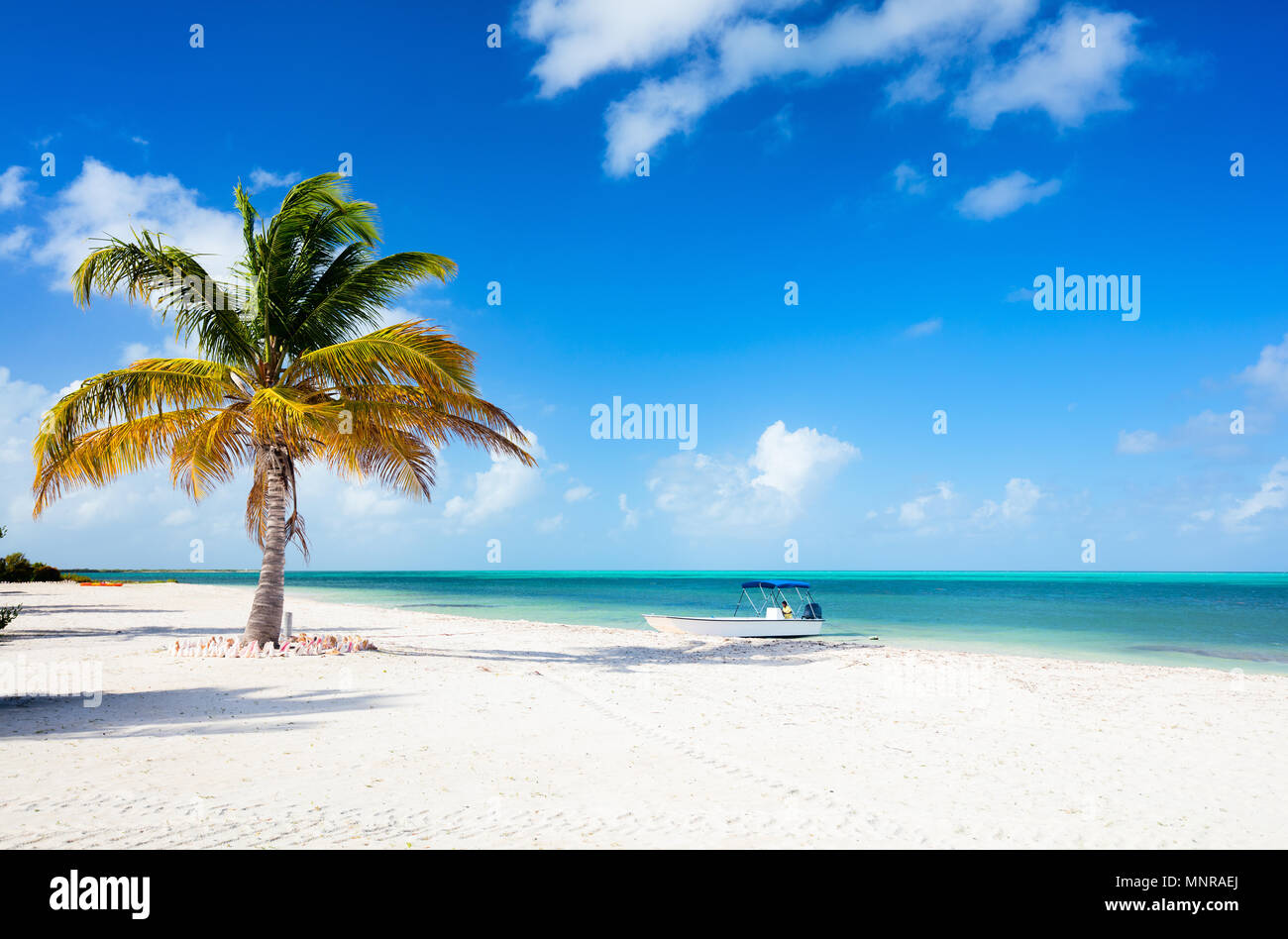 Idyllic tropical beach on Barbuda island in Caribbean with white sand ...