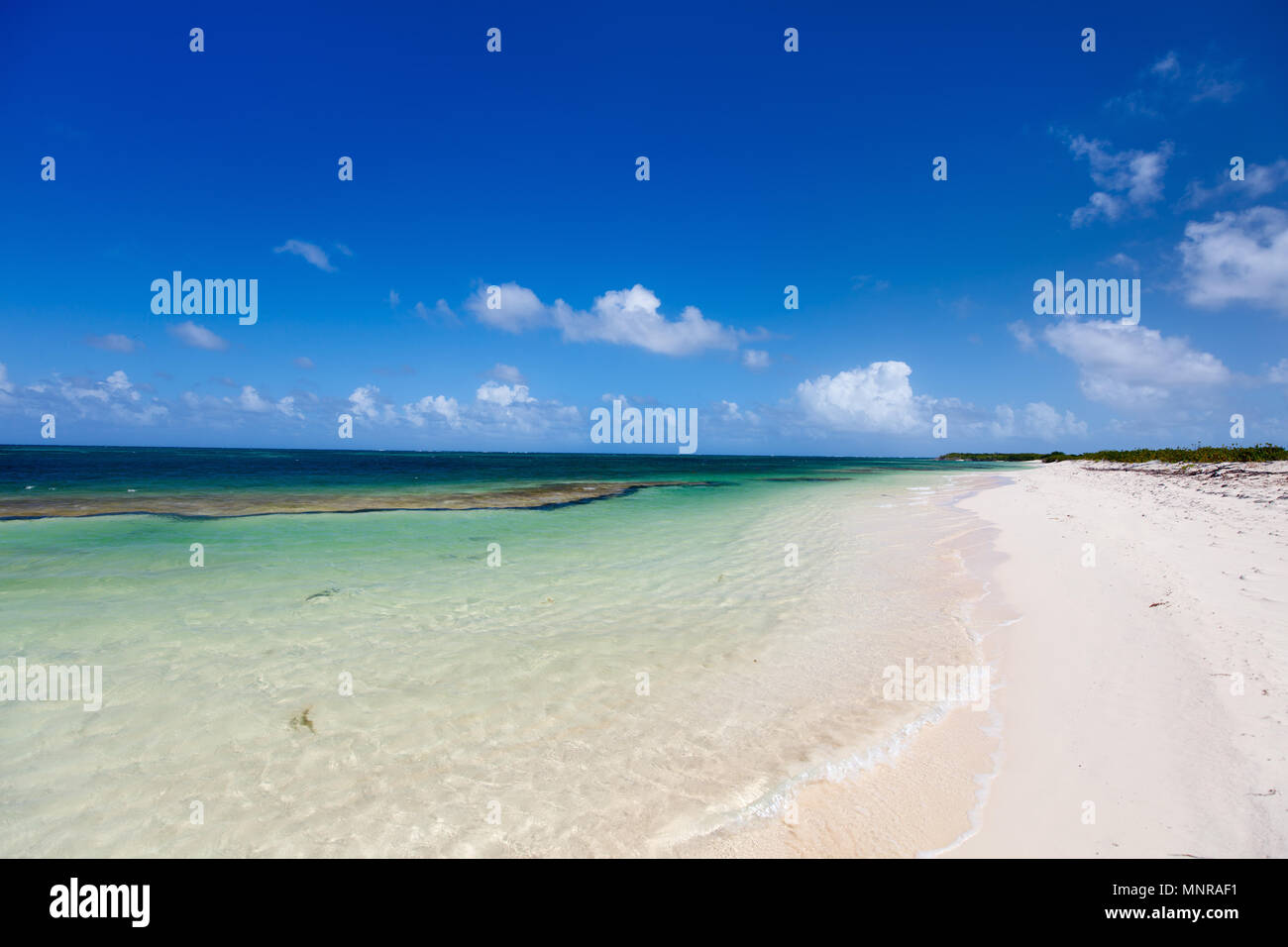 Idyllic tropical beach on Barbuda island in Caribbean with white sand ...