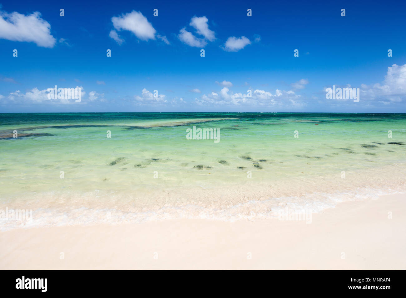 Idyllic tropical beach on Barbuda island in Caribbean with white sand ...