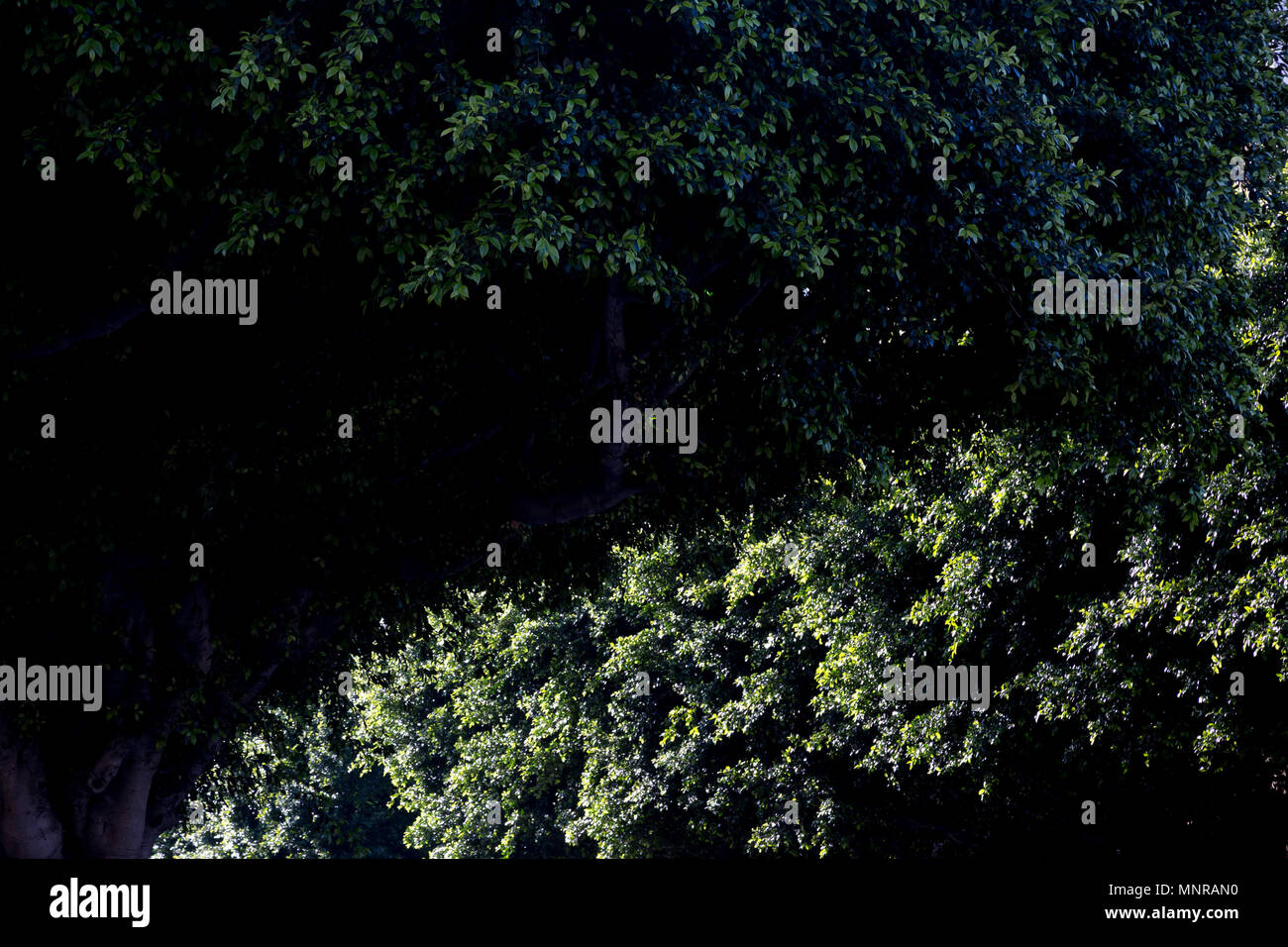 Shadowed image hi-res stock photography and images - Alamy