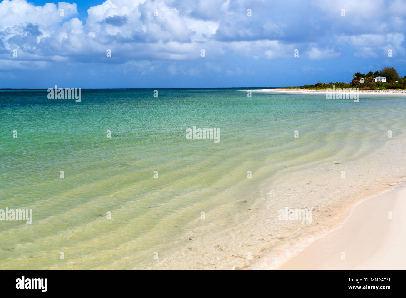 Idyllic tropical beach on Barbuda island in Caribbean with white sand ...