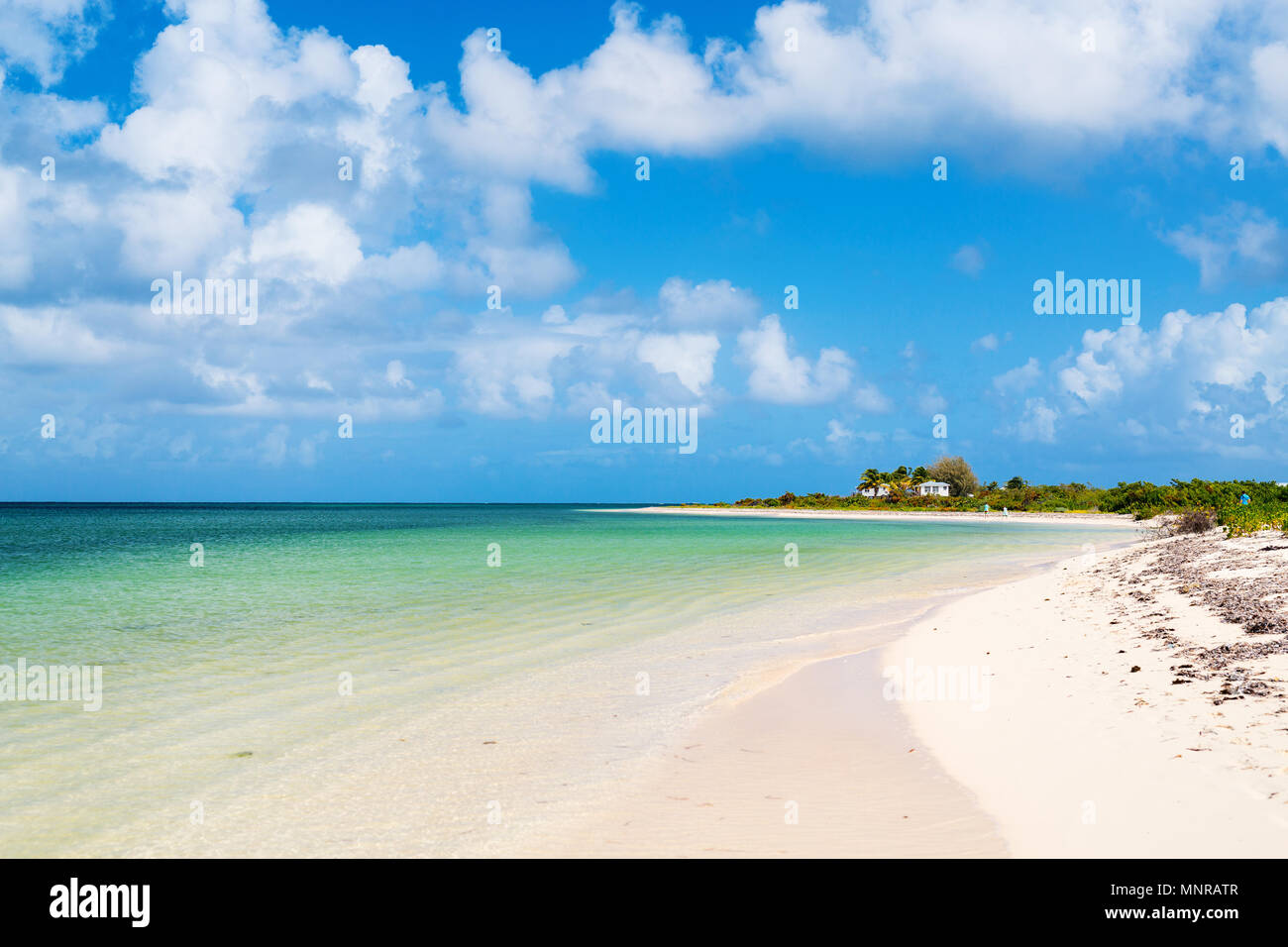 Idyllic tropical beach on Barbuda island in Caribbean with white sand ...