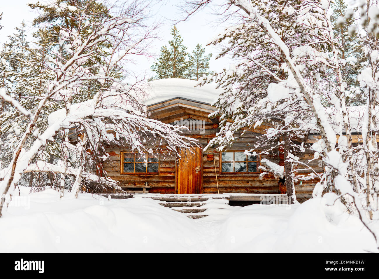 Environment And Beautiful Trees High Resolution Stock Photography and ...