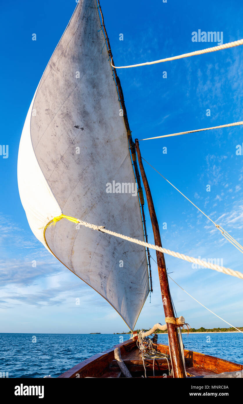 Sailing in a traditional African dhow boat on sunset Stock Photo - Alamy