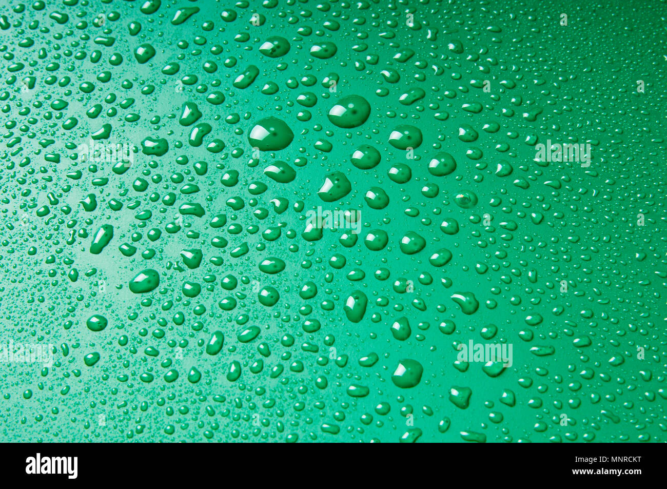 Water Drops, Different Sizes on a Green Background Stock Photo - Alamy