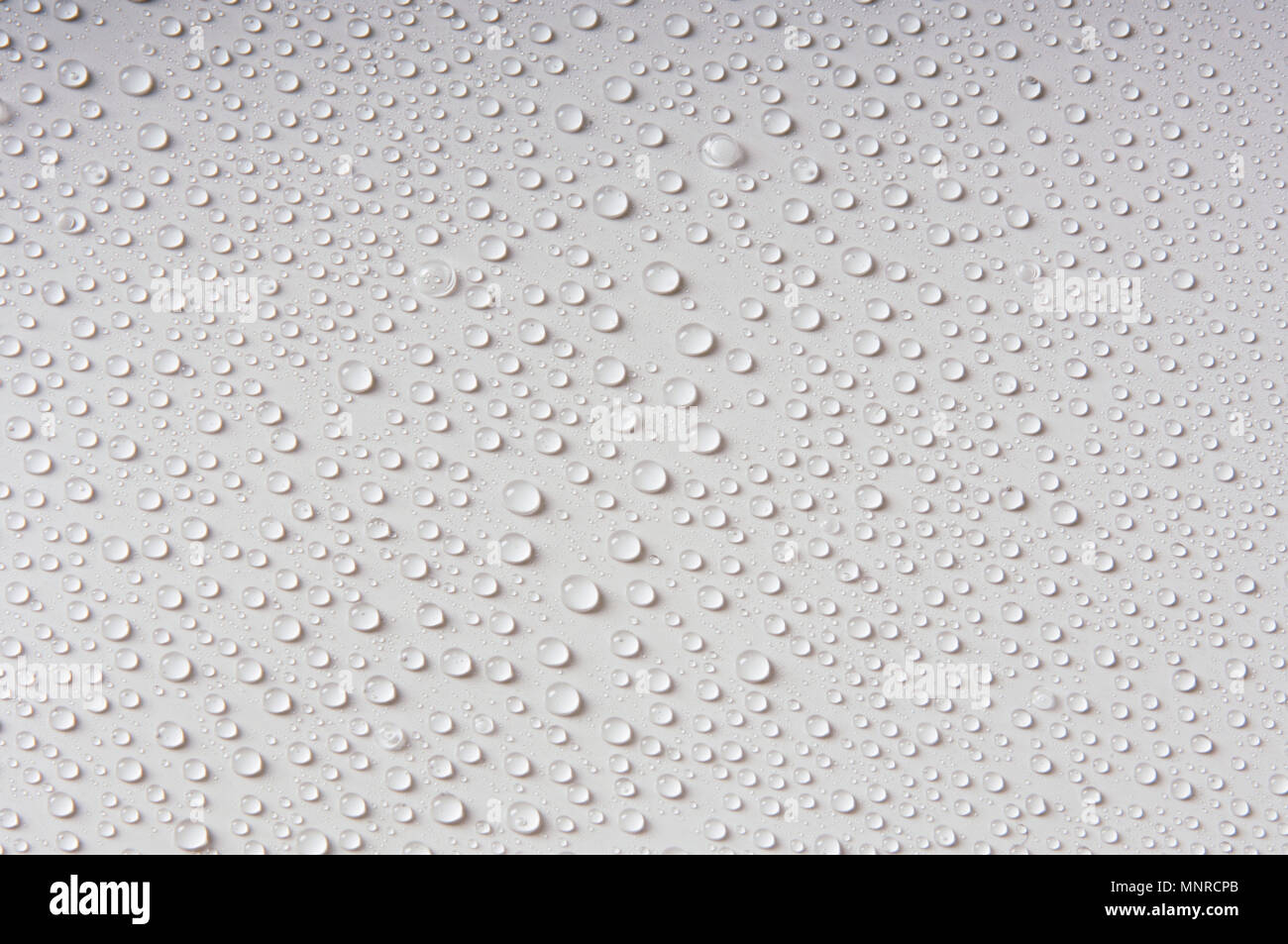 Water Drops, Different Sizes on a White Background Stock Photo - Alamy