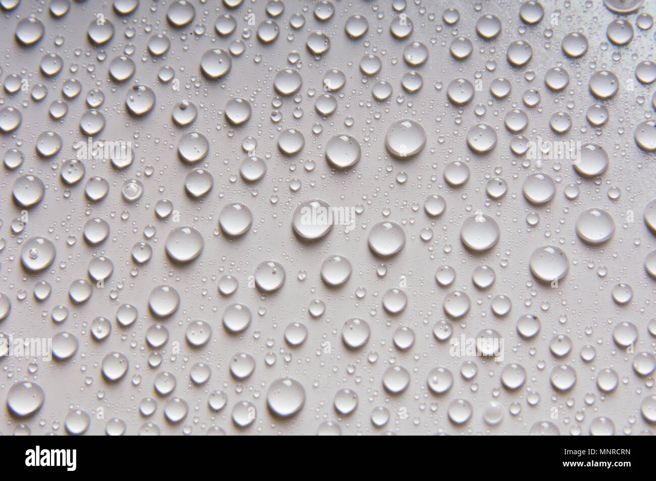 Water Drops, Different Sizes on a White Background Stock Photo - Alamy