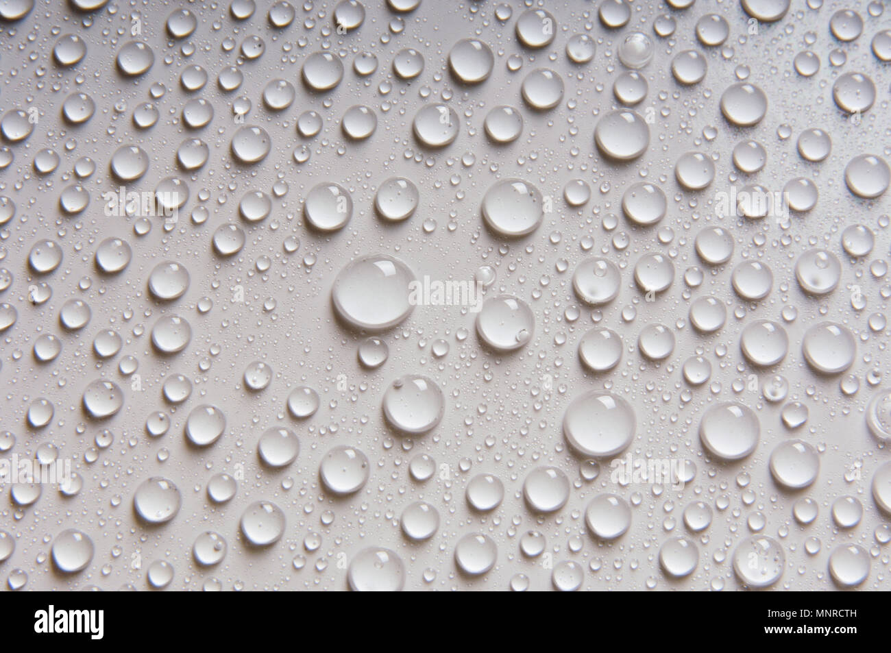Water Drops, Different Sizes on a White Background Stock Photo - Alamy