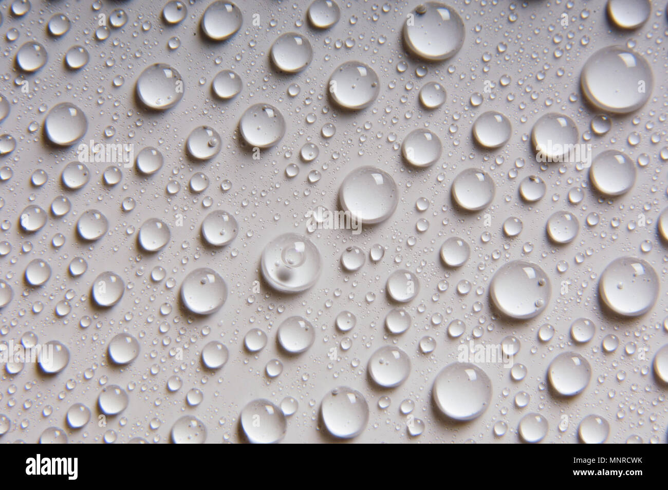 Water Drops, Different Sizes on a White Background Stock Photo - Alamy