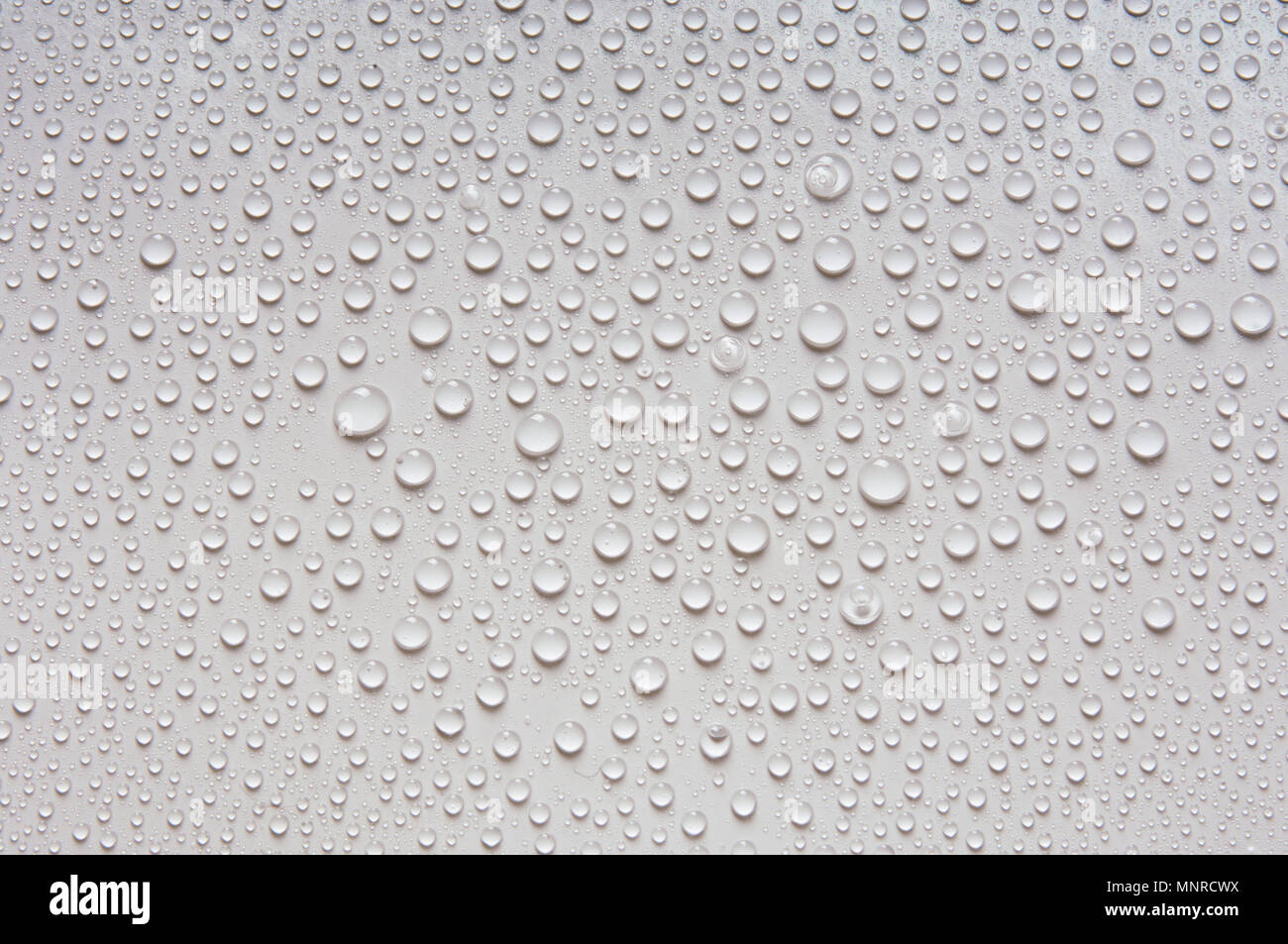 Water Drops, Different Sizes on a White Background Stock Photo - Alamy