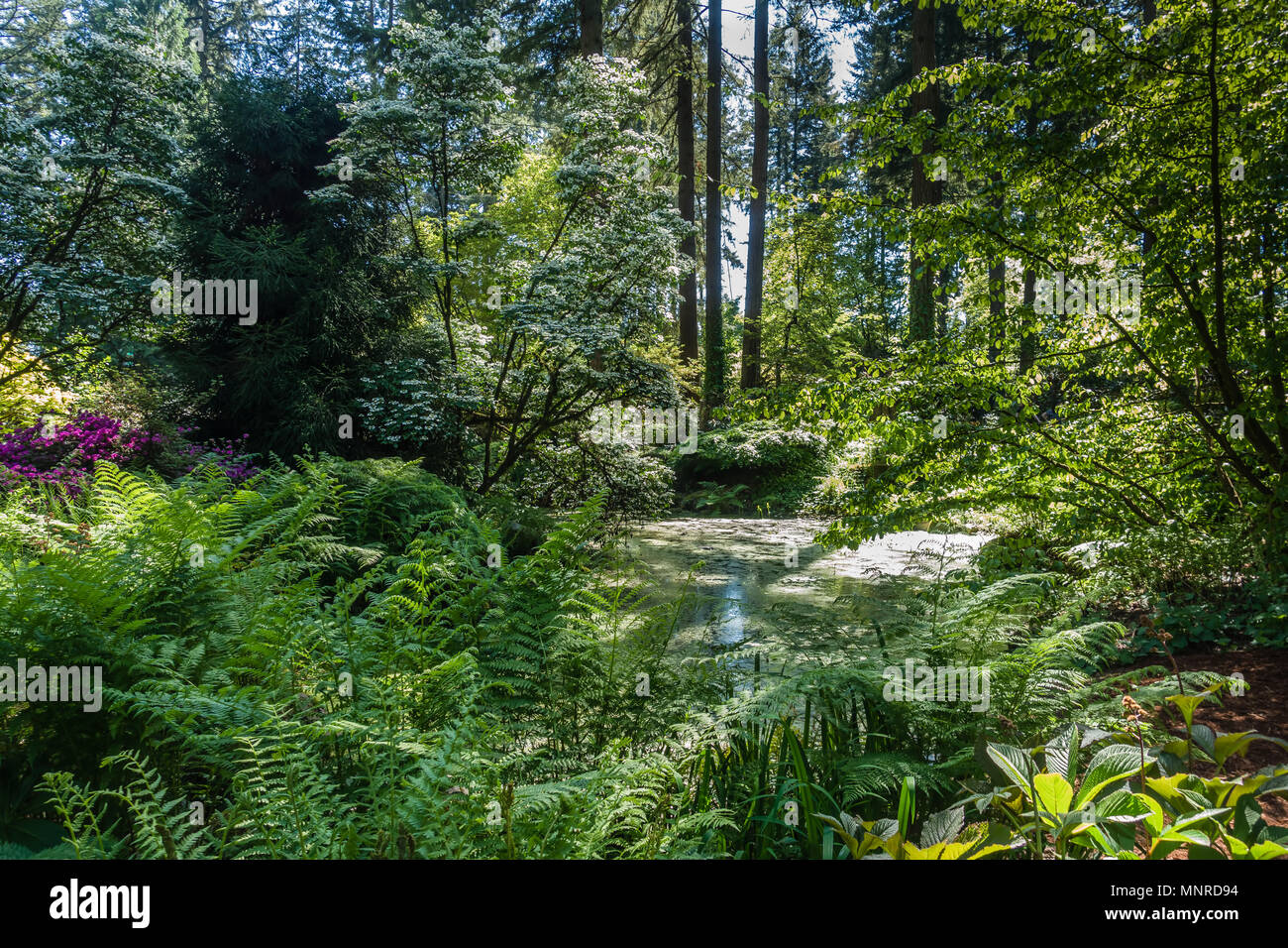 Federal pond hi-res stock photography and images - Alamy
