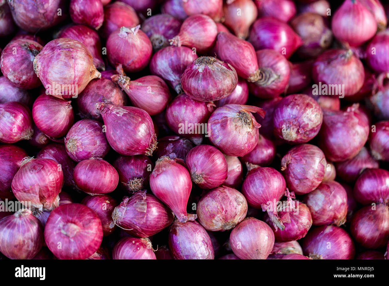 Fresh organic red onions in outdoor market Stock Photo - Alamy