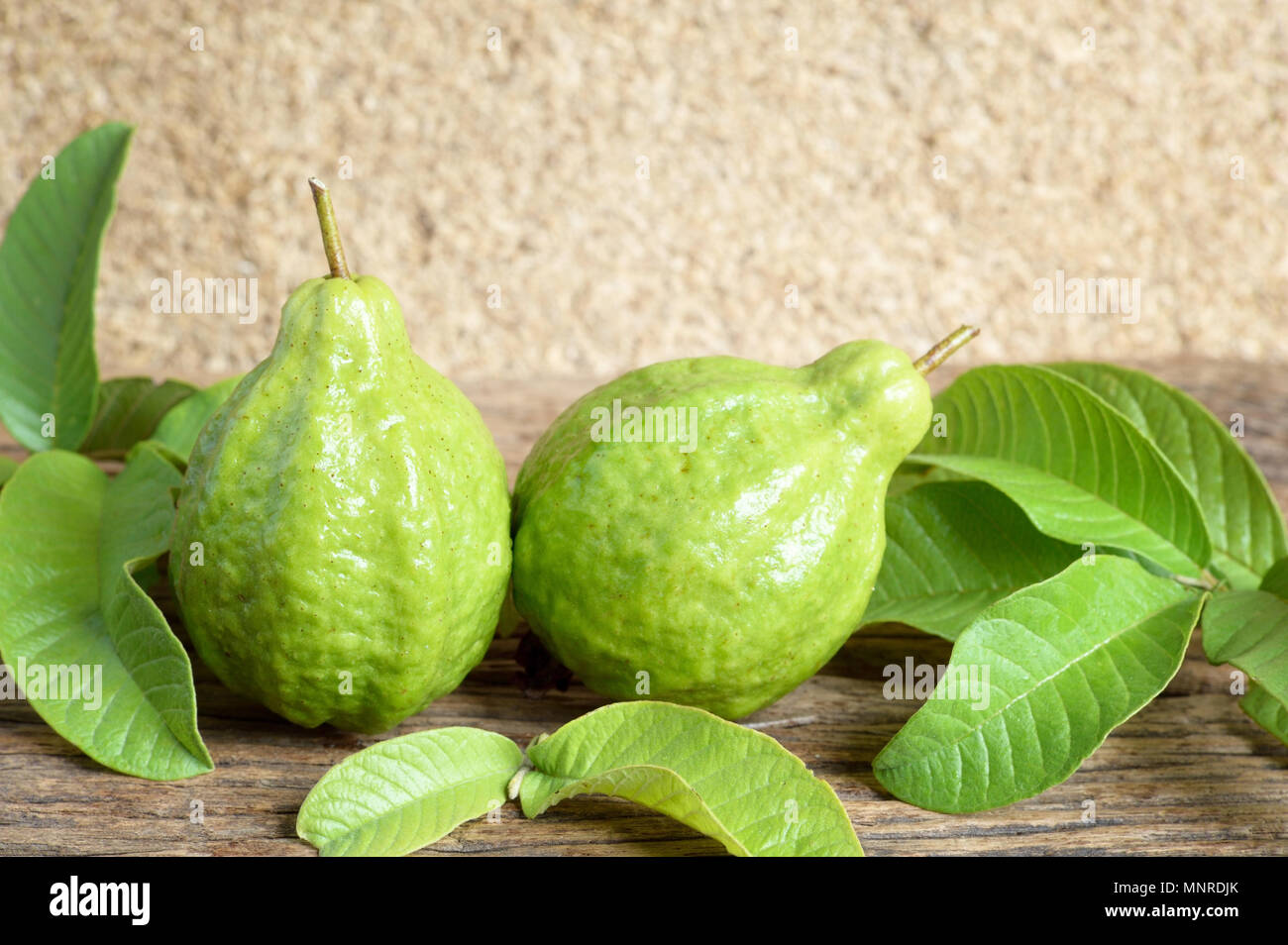 Guava leaf hi-res stock photography and images - Alamy