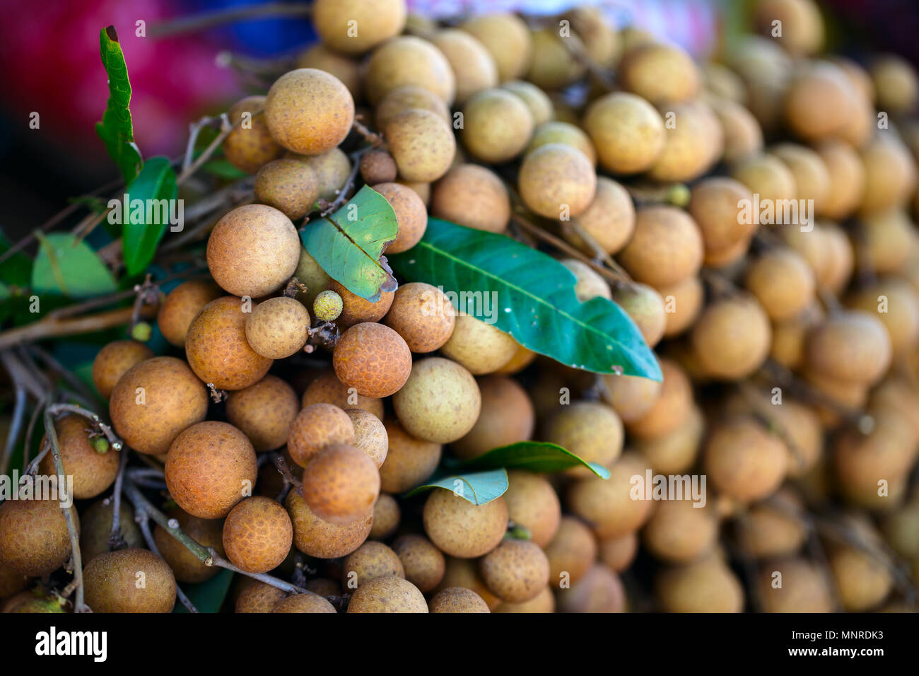 Assortment of fresh fruits on market stall Stock Photo - Alamy